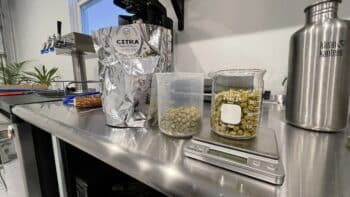 The Best Hazy IPA Recipe You Can Make At Home